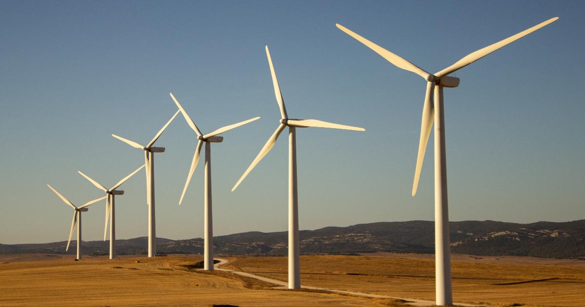 OeEB significantly increases new business in 2022 and makes an ...