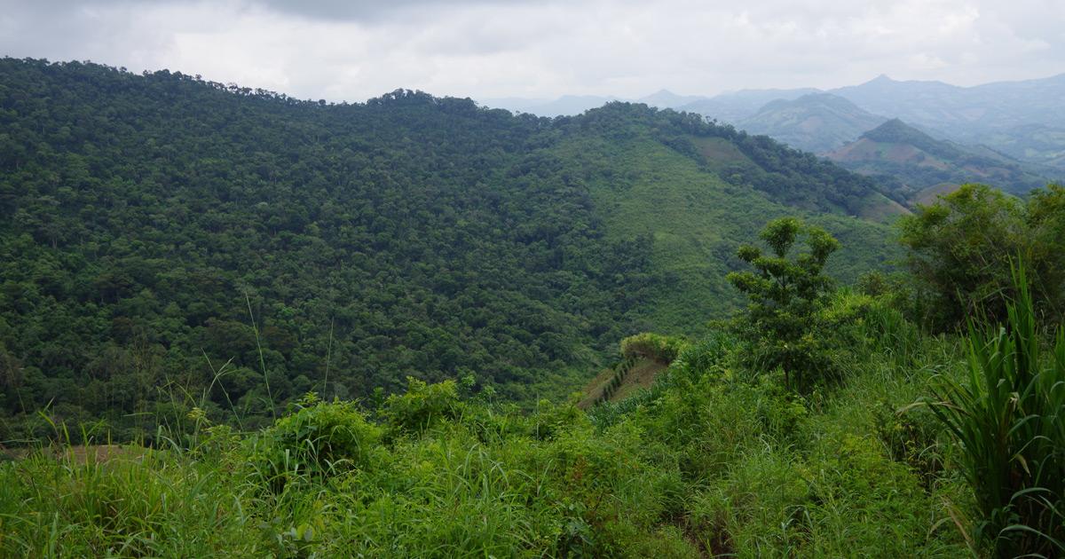 OeEB investiert in Schutz von Lateinamerikas Biodiversität